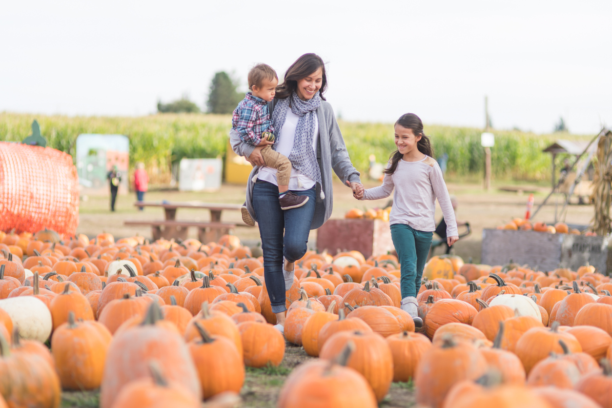 Things To Do in Connecticut This Fall Season | ambrosiolandscapes.com